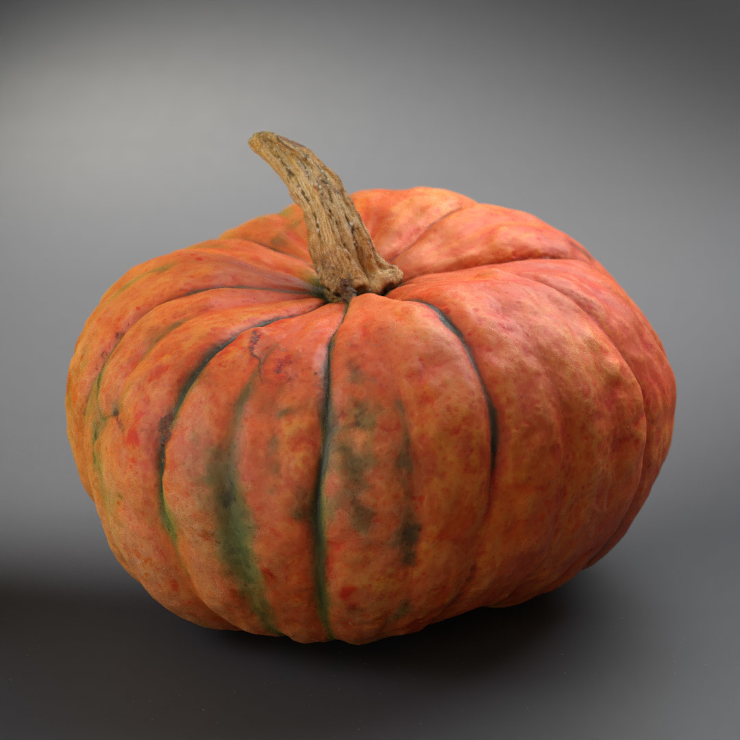 Pumpkin winter squash 3D model - TurboSquid 1209796