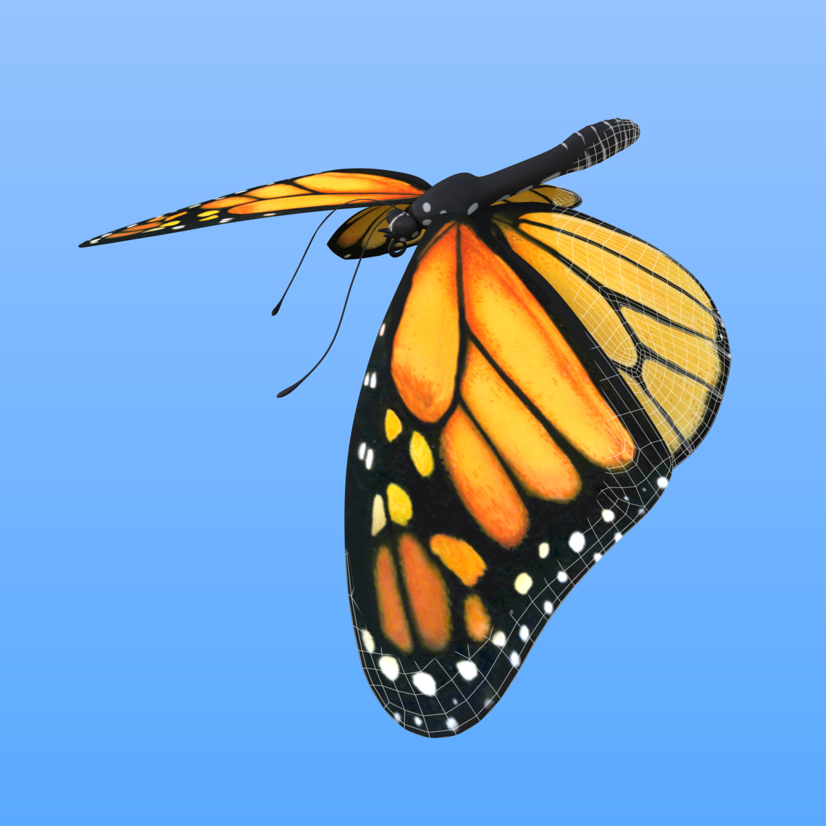 3D butterfly monarch fly - TurboSquid 1209980