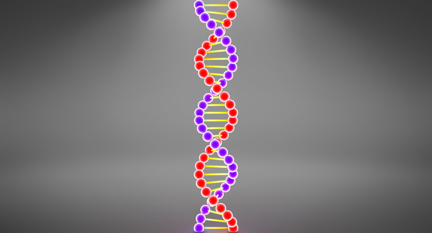 Dna 3D model - TurboSquid 1210054