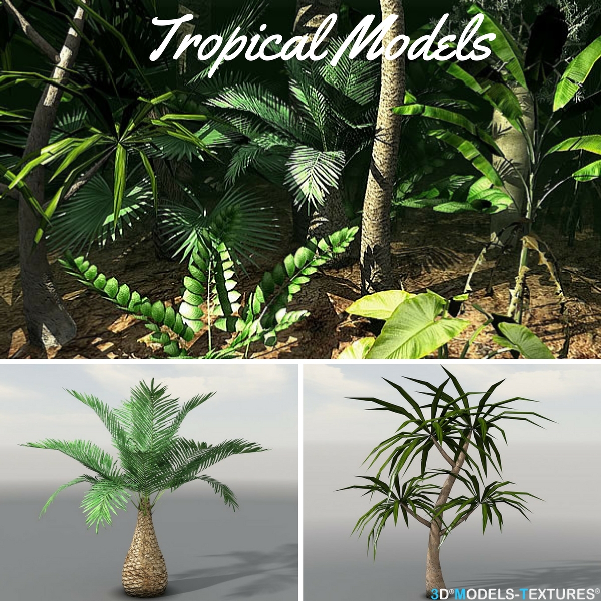 3D tropical - TurboSquid 1210352