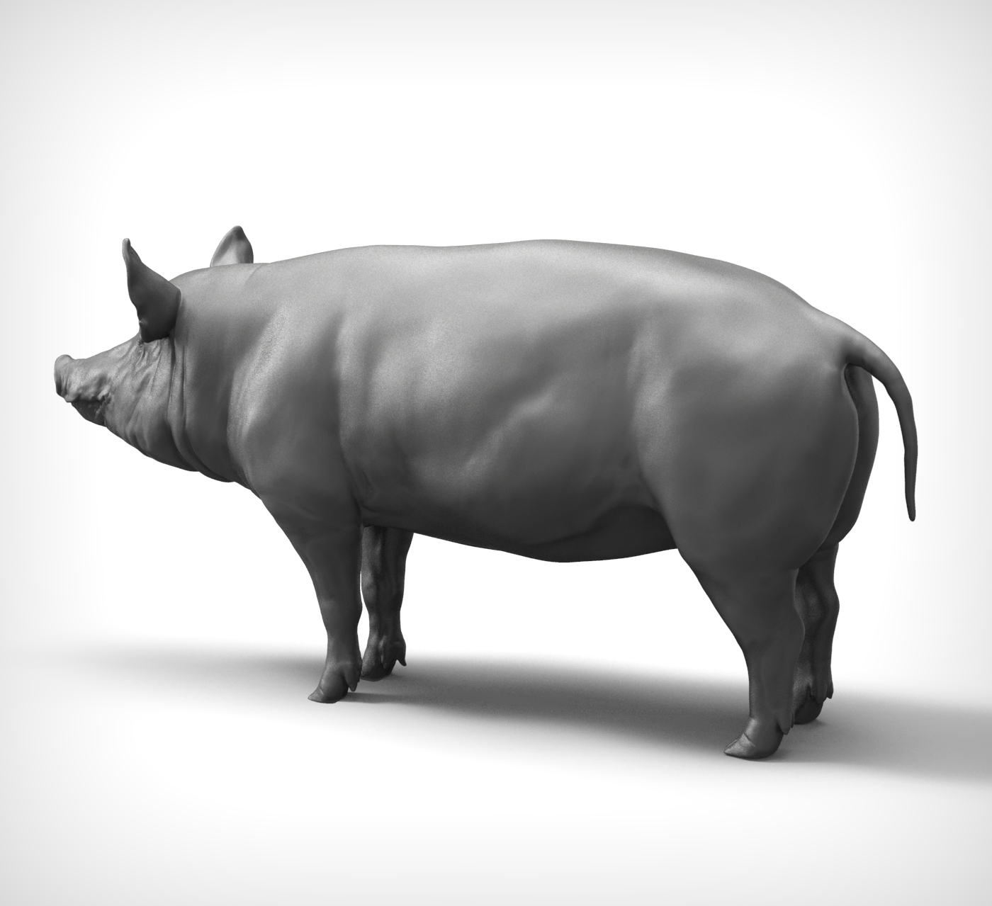 3D model pig realistic - TurboSquid 1210704