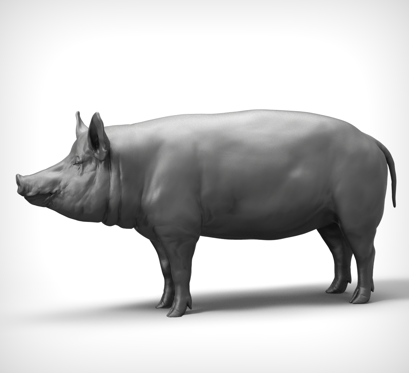 3D model pig realistic - TurboSquid 1210704