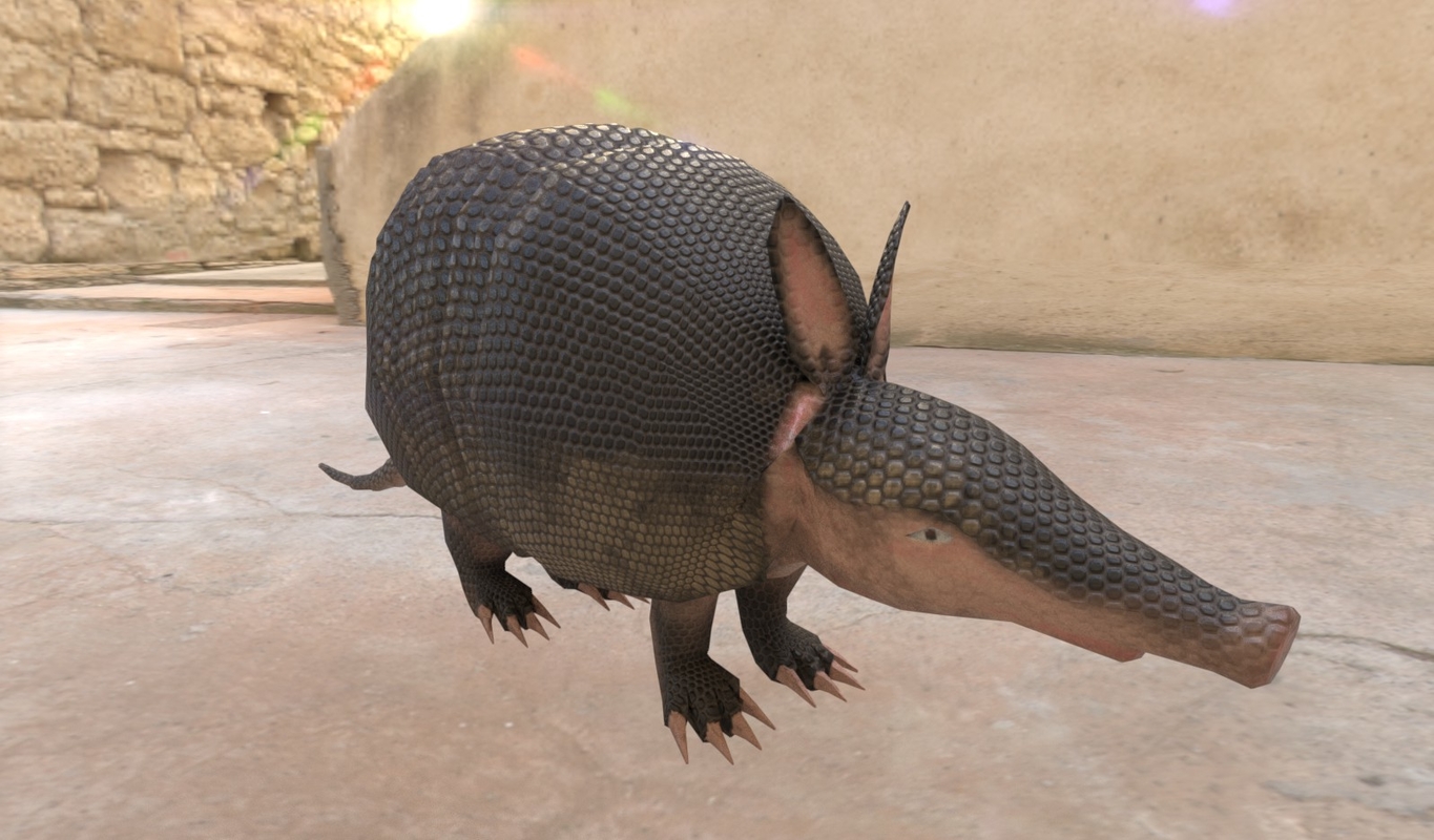 Armadillo 3D model - TurboSquid 1210719