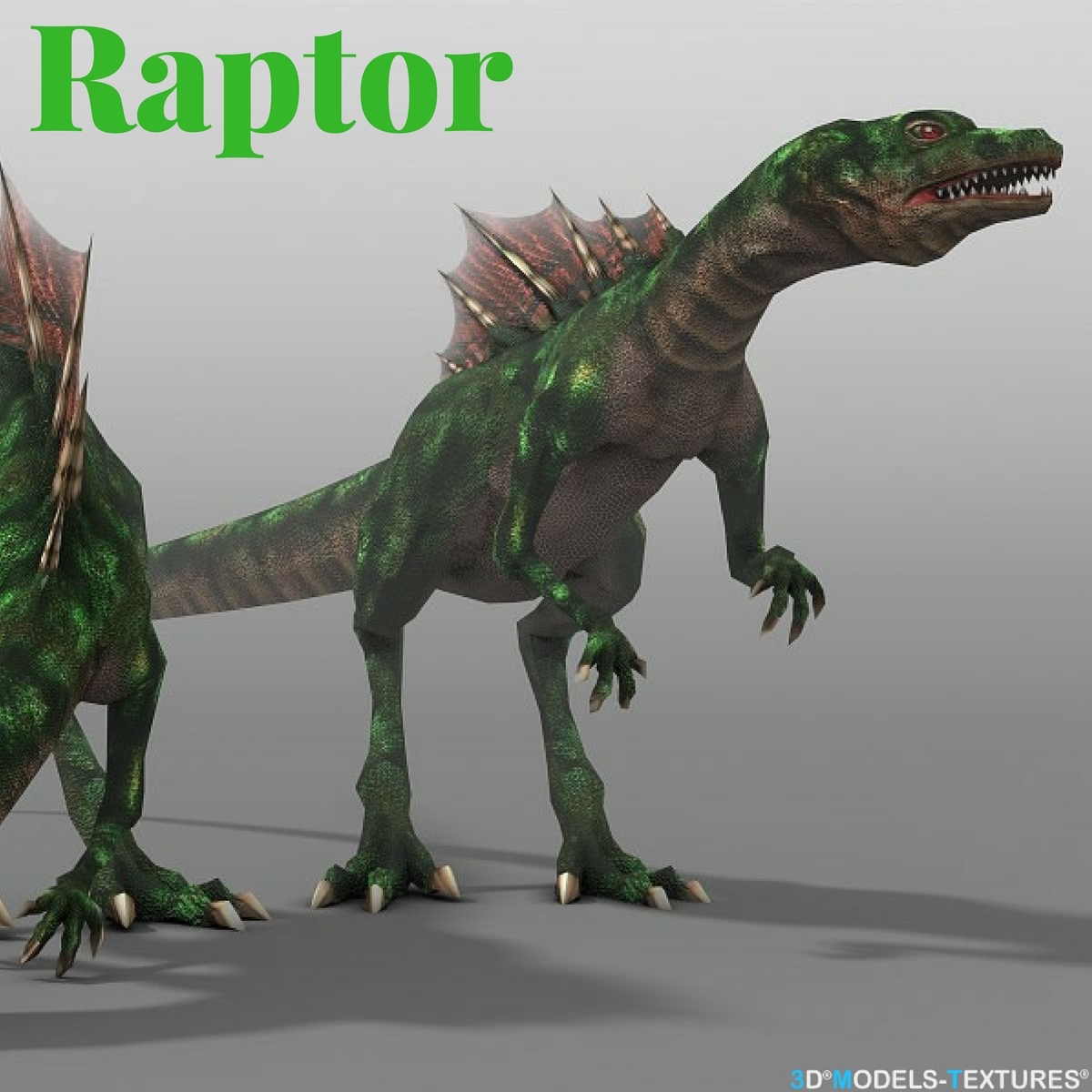 modèle 3D de Raptor - TurboSquid 1211946