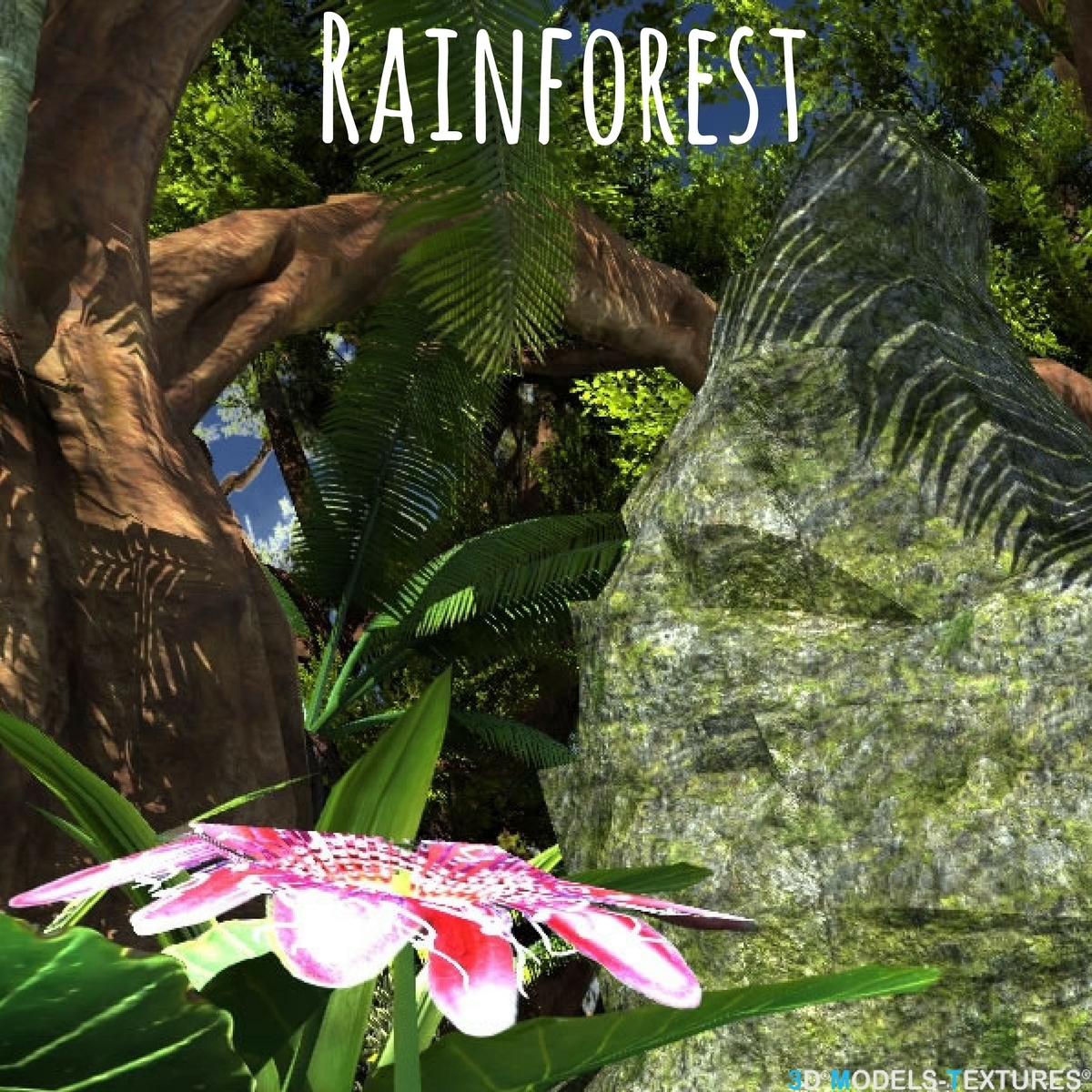 Rainforest forest 3D model - TurboSquid 1211958