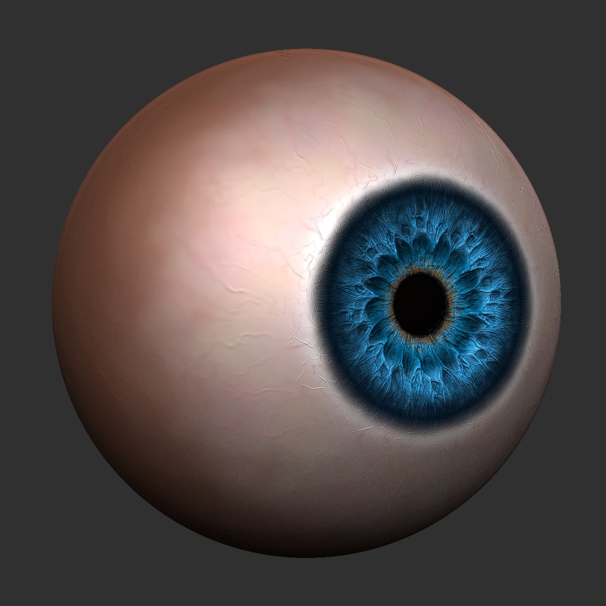 Eye realistic colored 3D model - TurboSquid 1212367