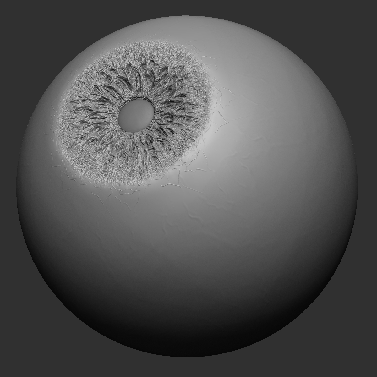 Eye realistic colored 3D model - TurboSquid 1212367