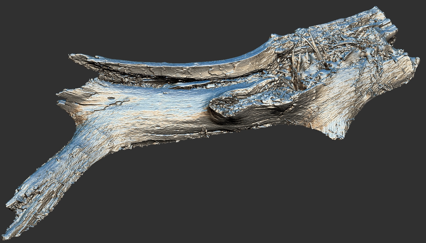 3D scanned hd model - TurboSquid 1212392