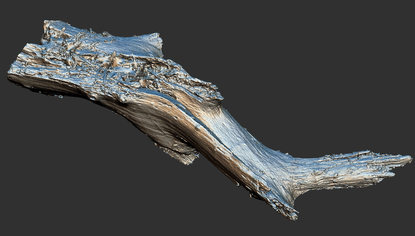 3D scanned hd model - TurboSquid 1212392