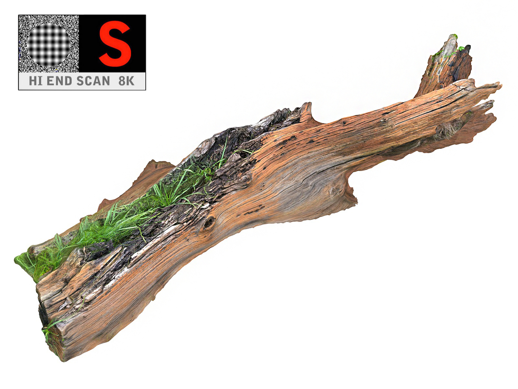 3D scanned hd model - TurboSquid 1212392