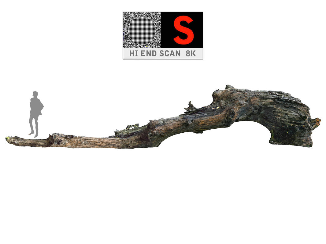 Scanned hd model - TurboSquid 1212393