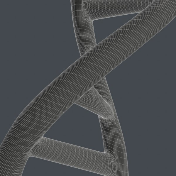 Dna double helix 3D - TurboSquid 1212463