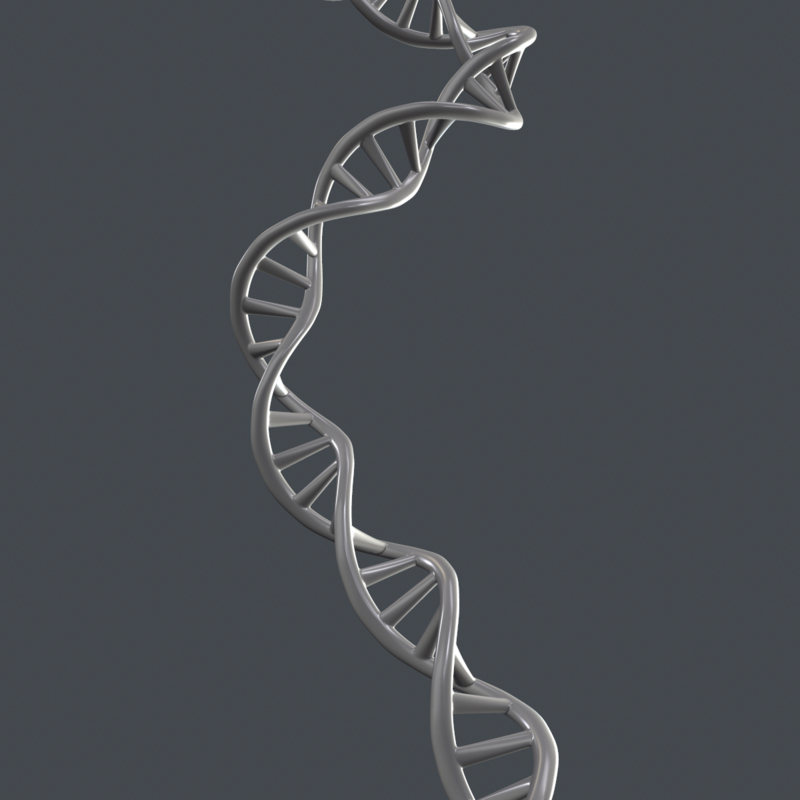 Dna double helix 3D - TurboSquid 1212463
