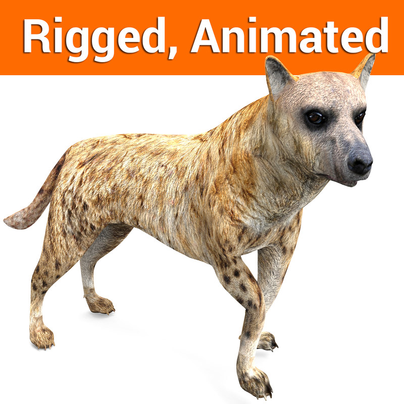 3D hyena rigged ready animation - TurboSquid 1212526