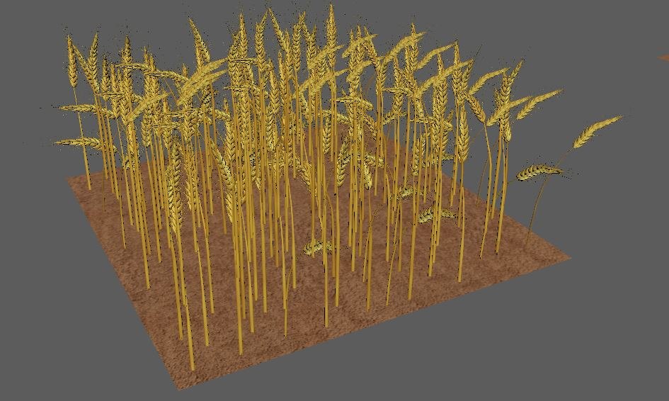 modelo 3d Campo de trigo 3D - TurboSquid 1212720