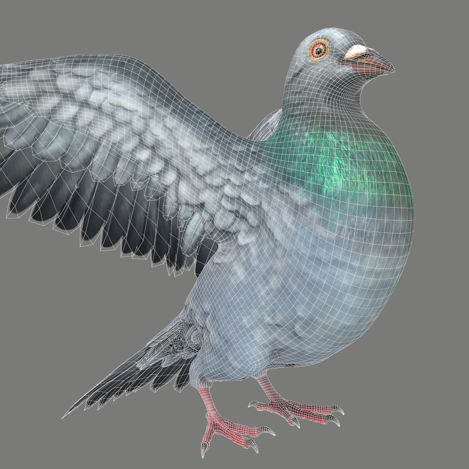 Pigeon rigged 3D model - TurboSquid 1212992