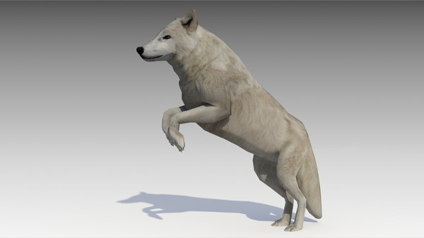 Arctic wolf model - TurboSquid 1213245
