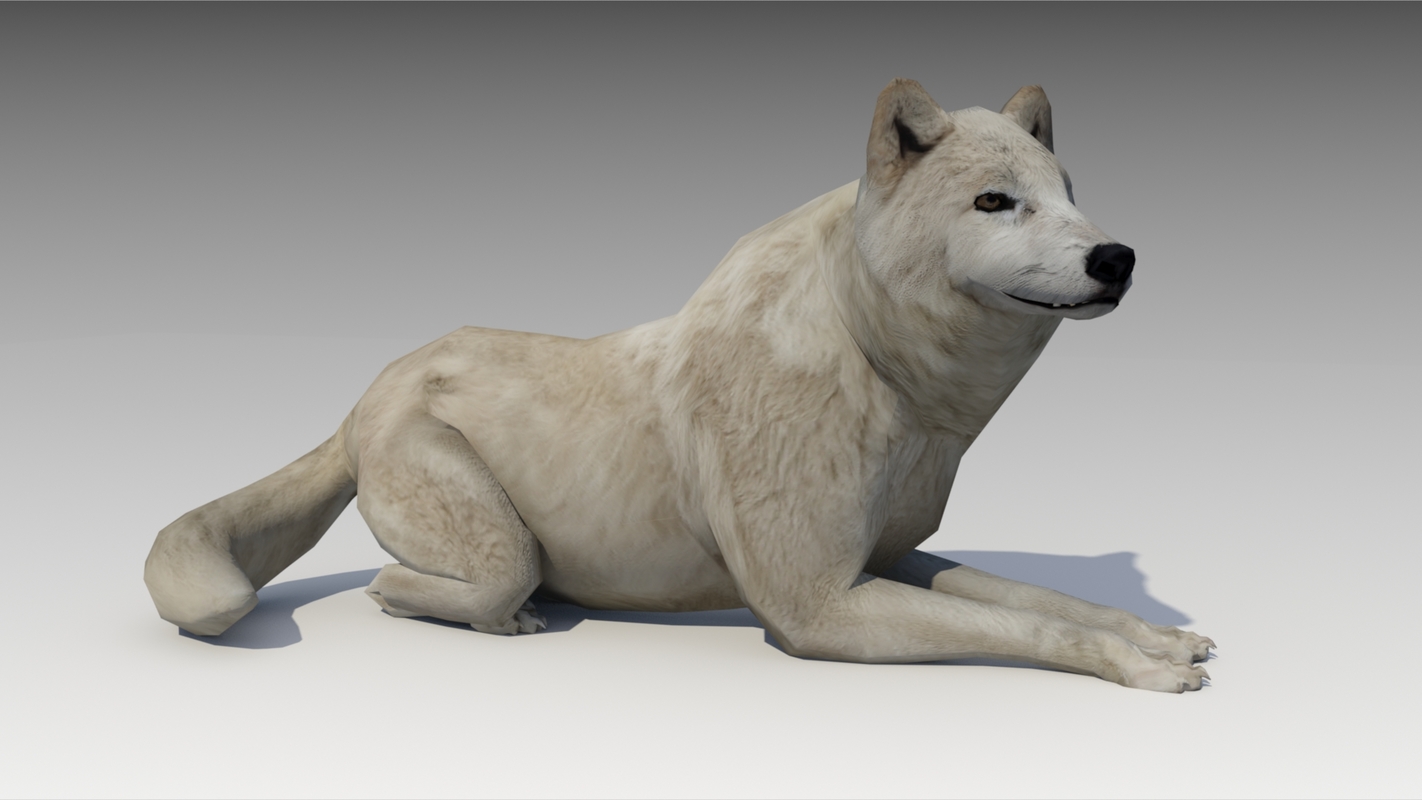 Arctic wolf model - TurboSquid 1213245
