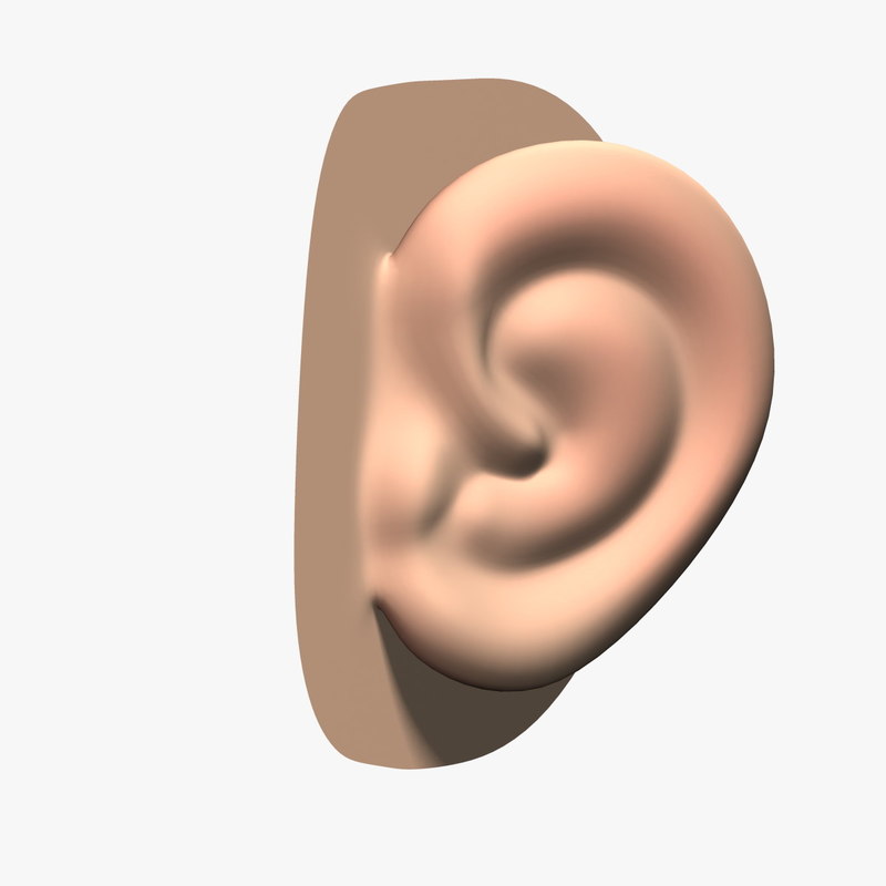3D cartoon ear model - TurboSquid 1213465