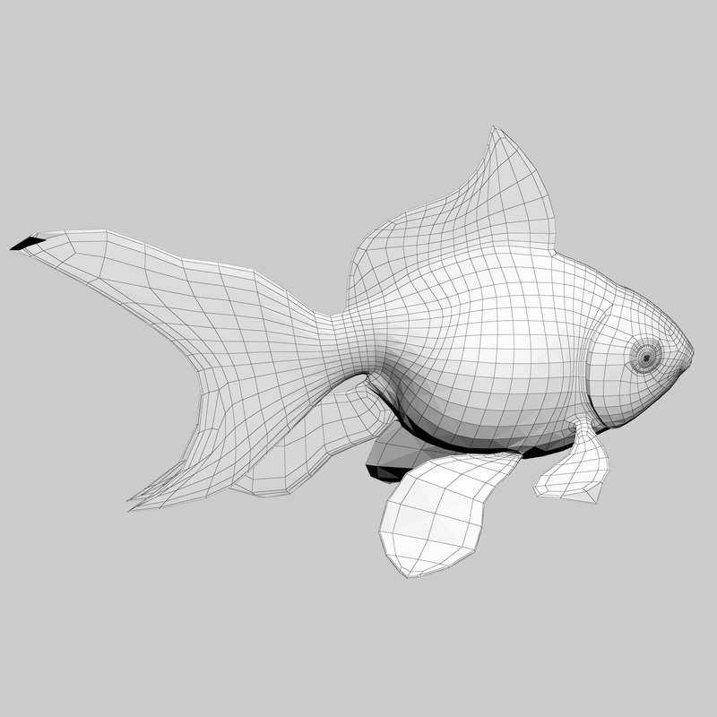 3D fish aquarium model - TurboSquid 1213513