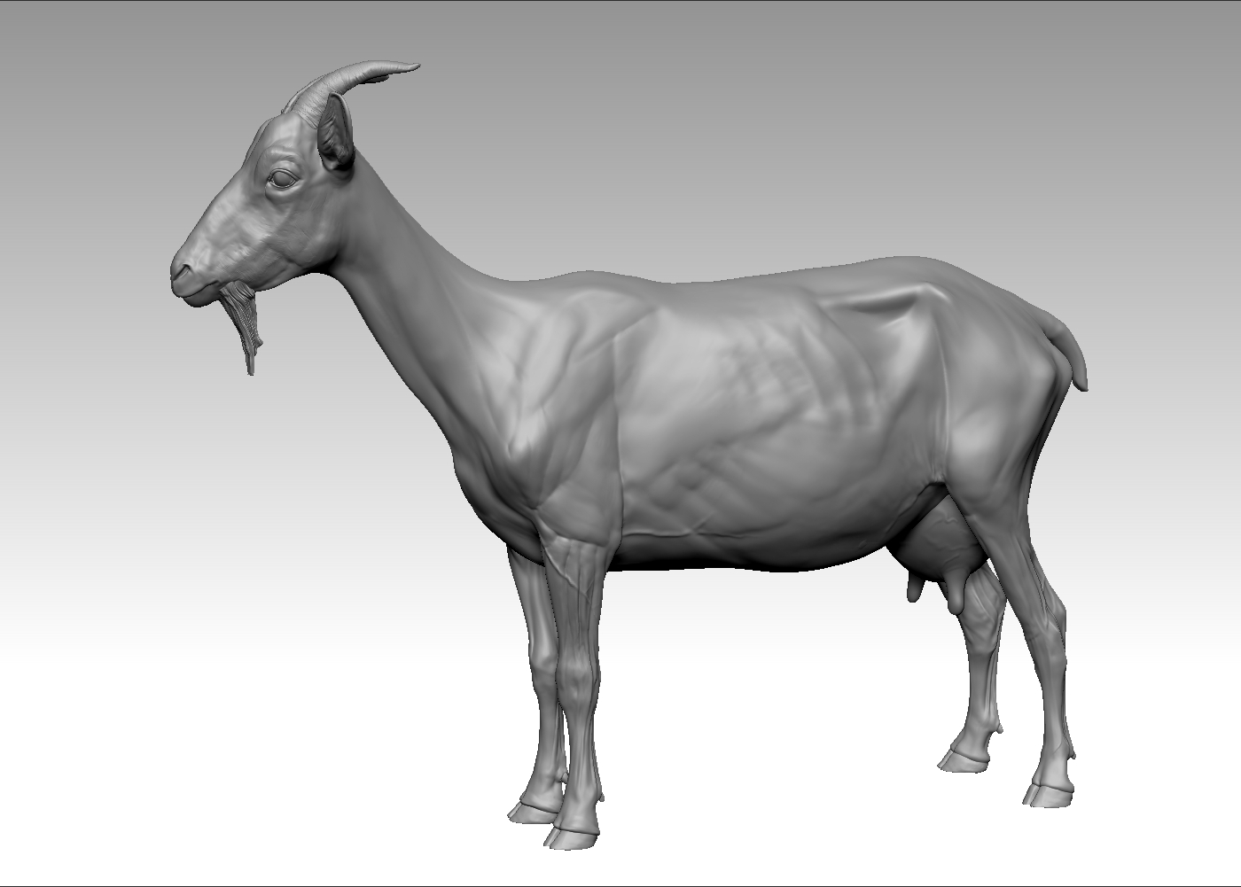 Goat realistic model - TurboSquid 1214066