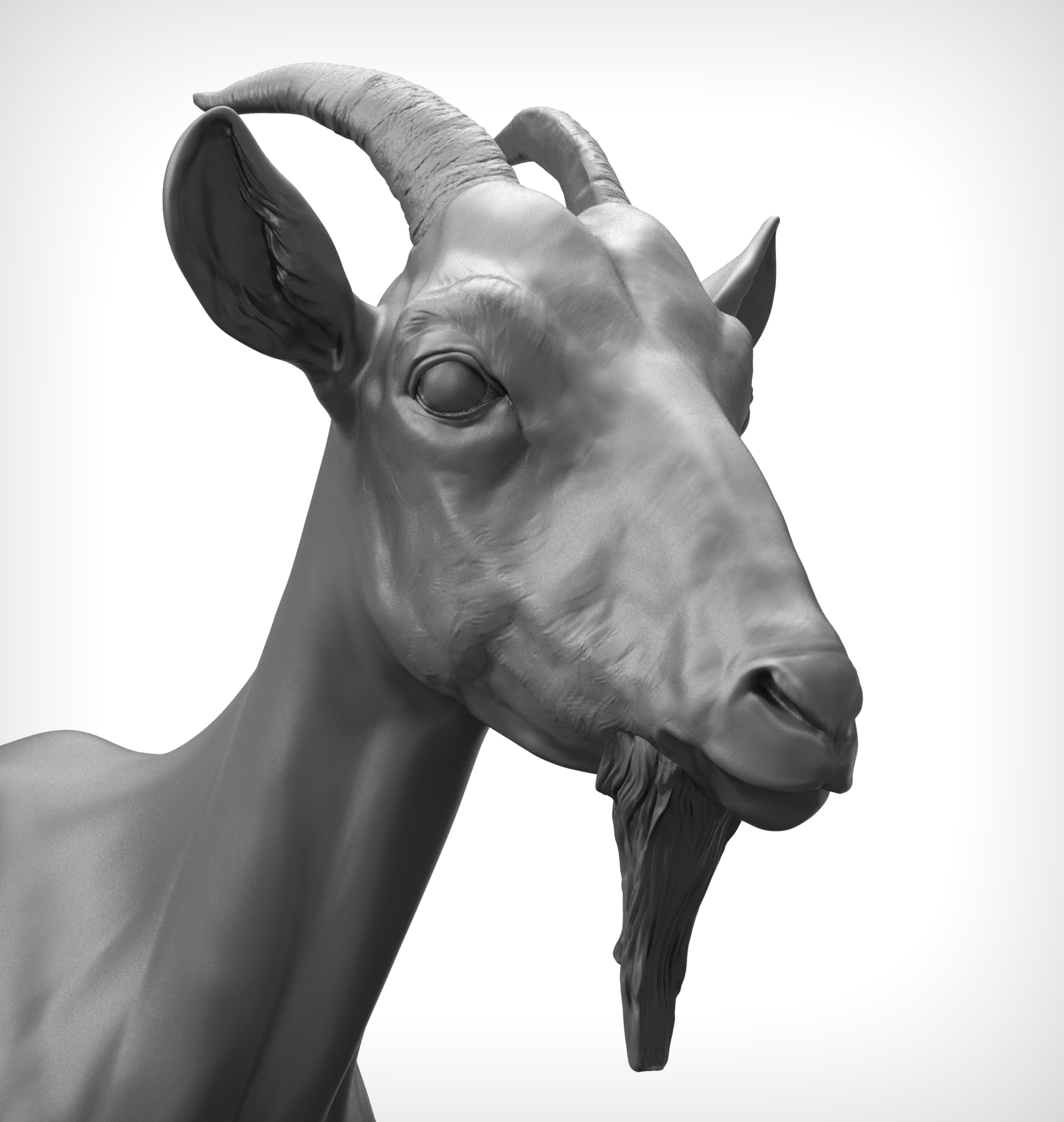 Goat realistic model - TurboSquid 1214066