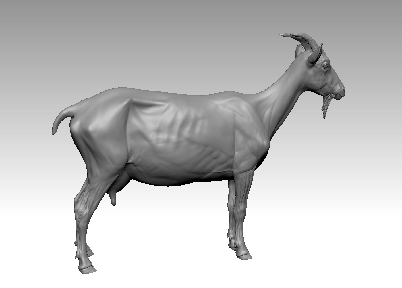 Goat realistic model - TurboSquid 1214066