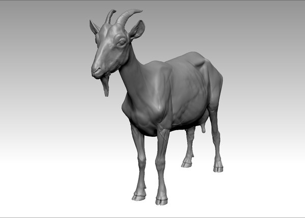 Goat realistic model - TurboSquid 1214066