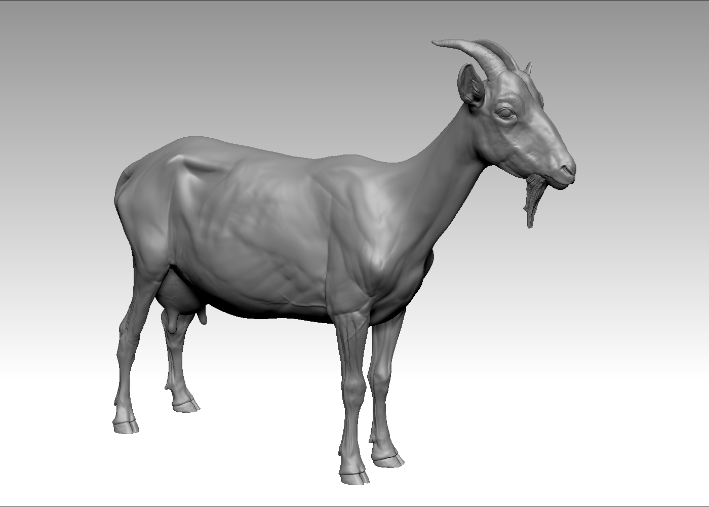 Goat realistic model - TurboSquid 1214066