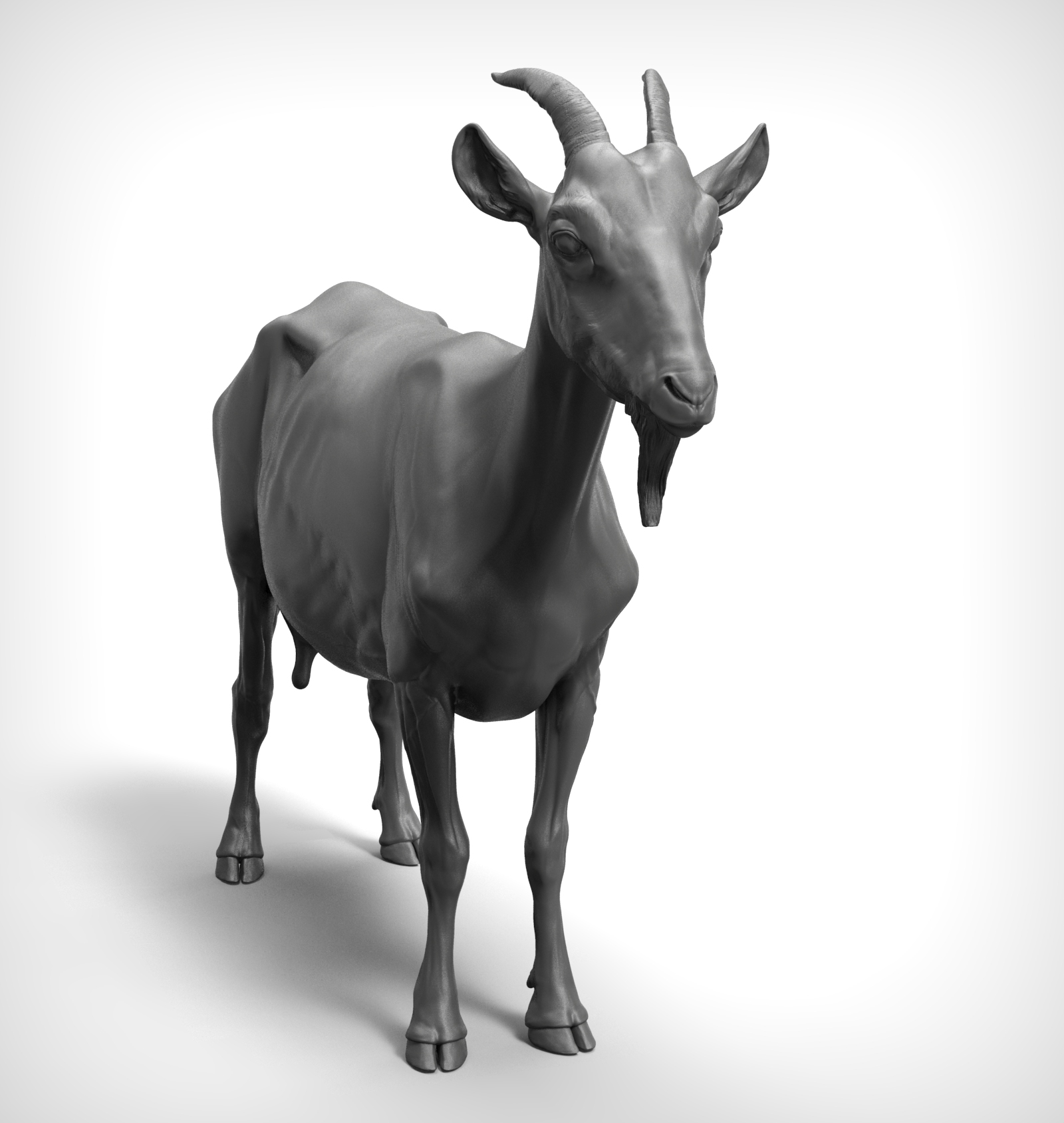 Goat realistic model - TurboSquid 1214066