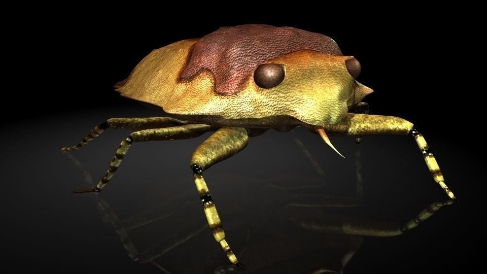 3D insect - TurboSquid 1214262