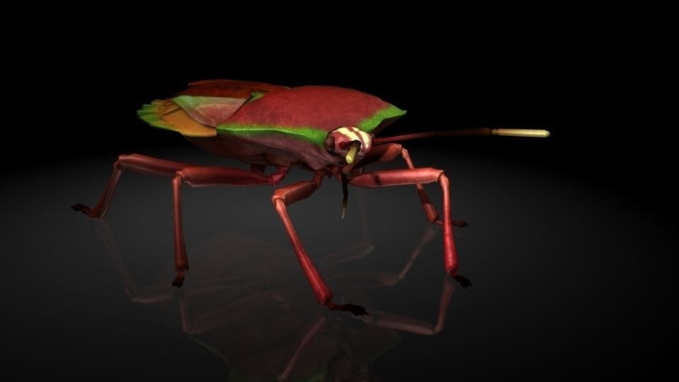 3D insect - TurboSquid 1214270