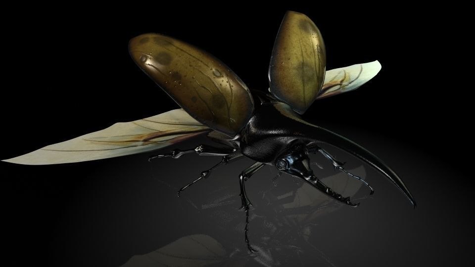 Insect 3D model - TurboSquid 1214453