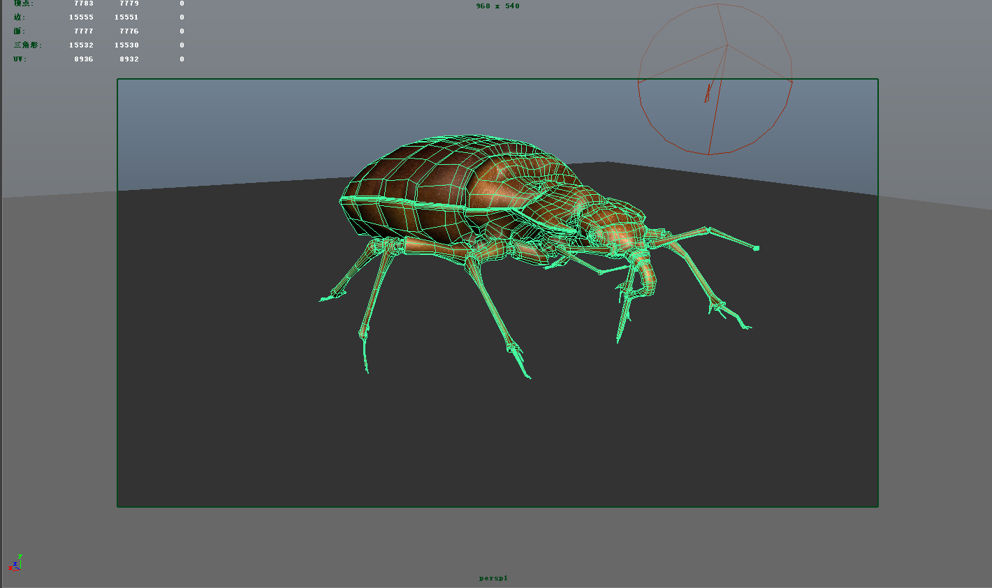 Insect 3D model - TurboSquid 1214943