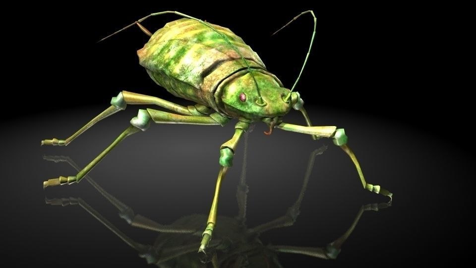 3D insect model - TurboSquid 1214952