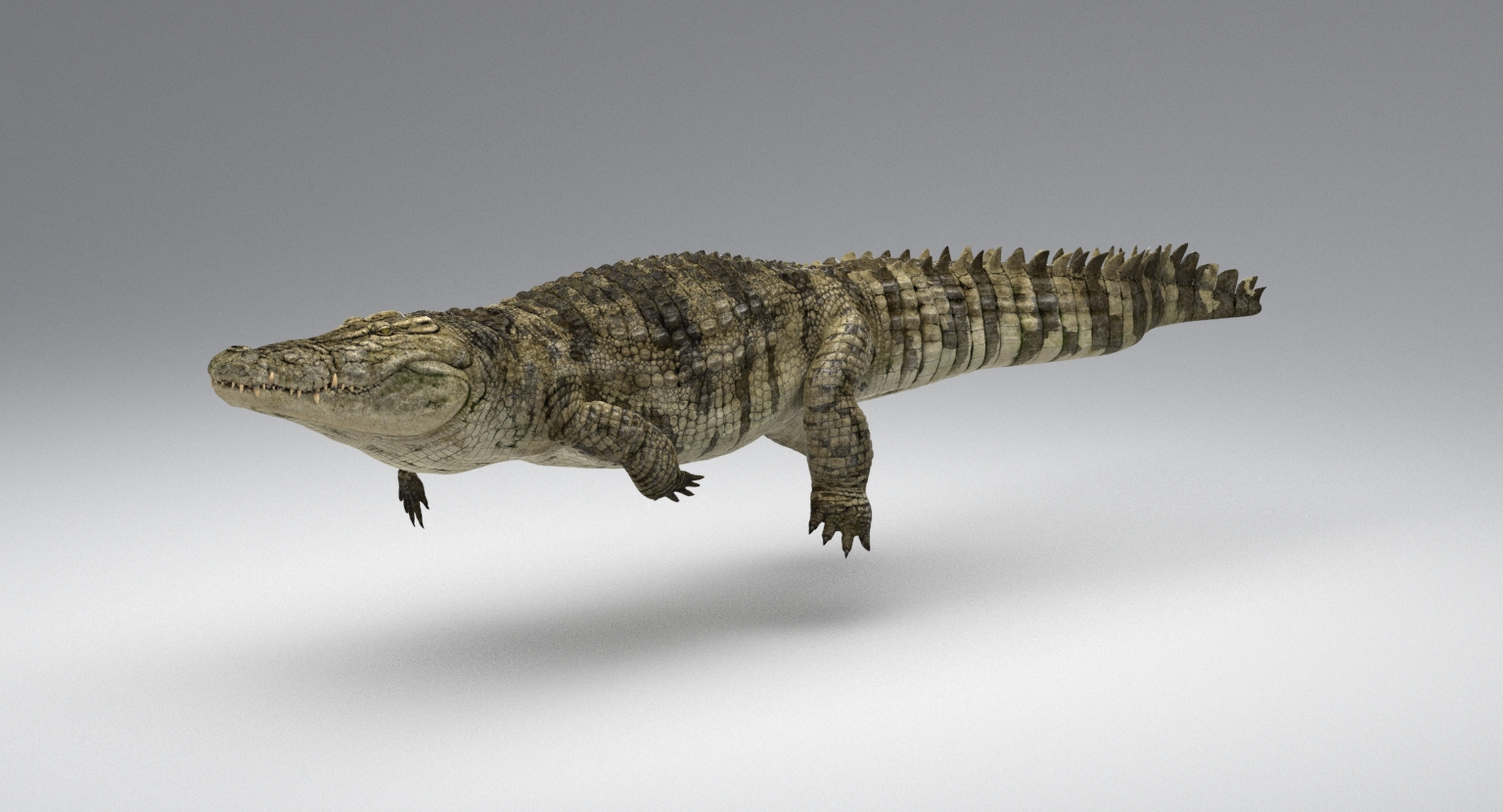 3D realistic crocodile rigging animation model - TurboSquid 1215033