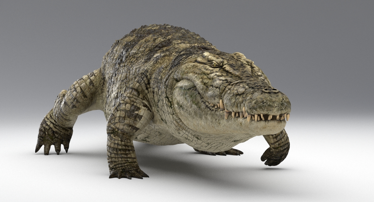 3D realistic crocodile rigging animation model - TurboSquid 1215033
