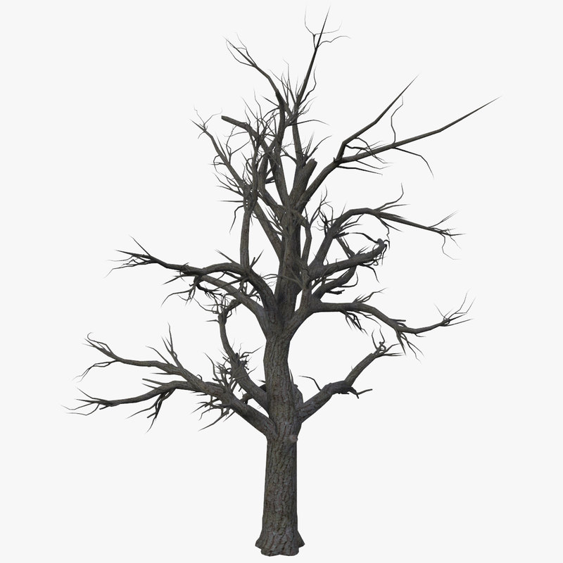 Dry tree 3D model - TurboSquid 1215647