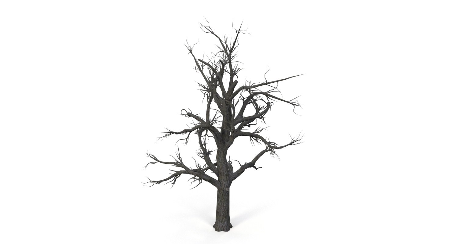 Dry tree 3D model - TurboSquid 1215647