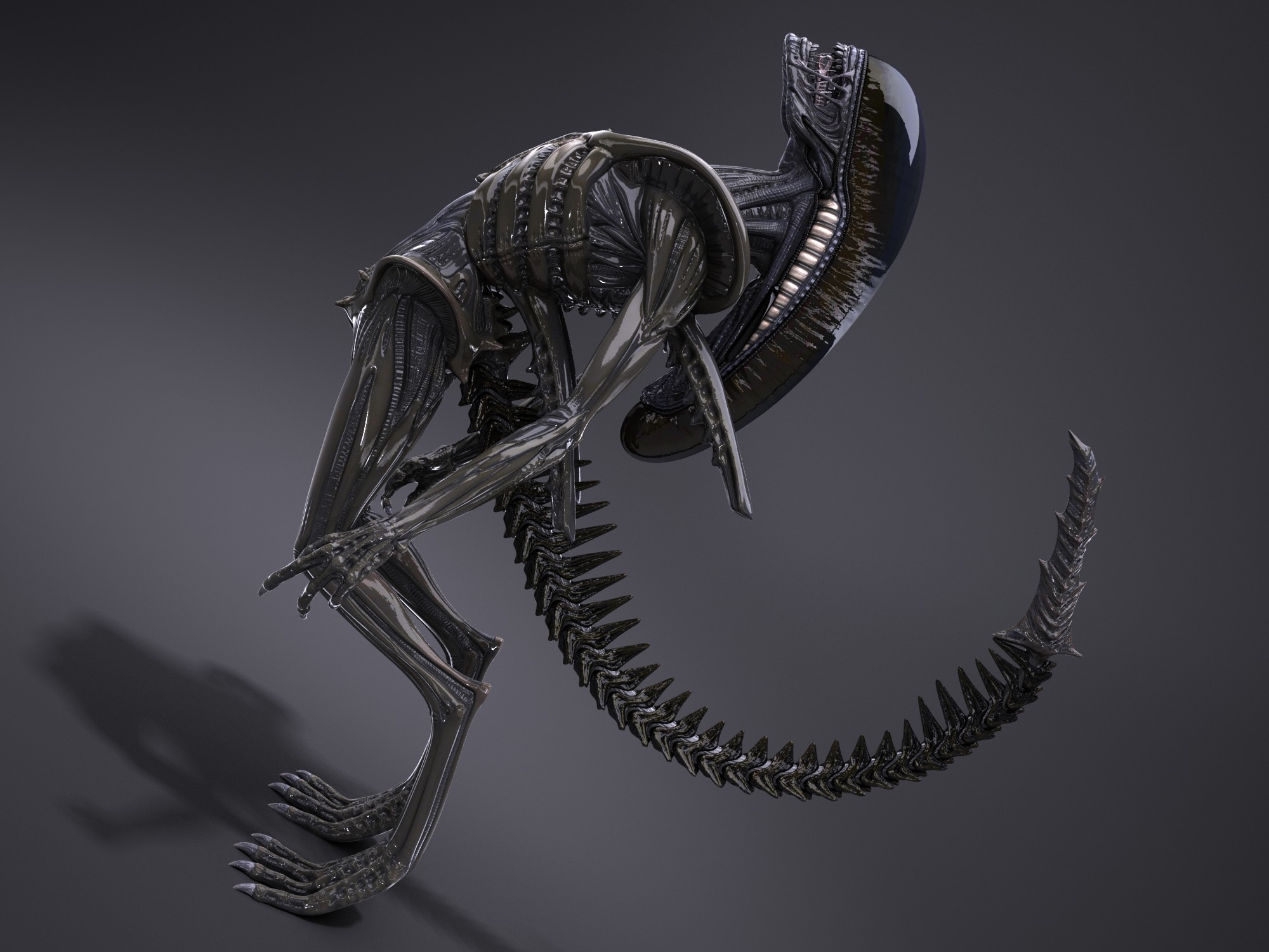 Alien xenomorph 3D model - TurboSquid 1216136