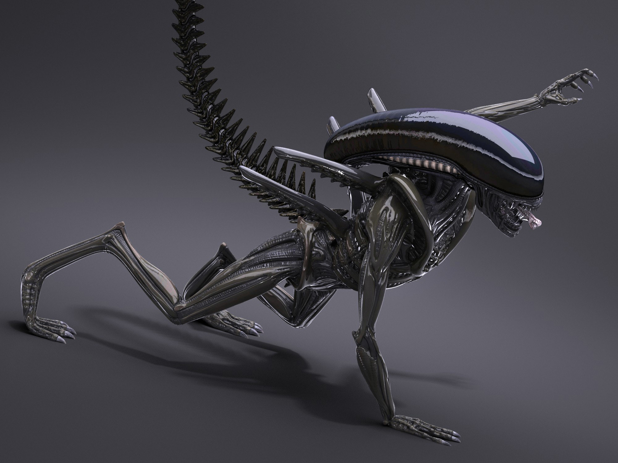 Alien xenomorph 3D model - TurboSquid 1216136