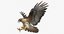 3D model rigged red-tailed hawk tail - TurboSquid 1216250