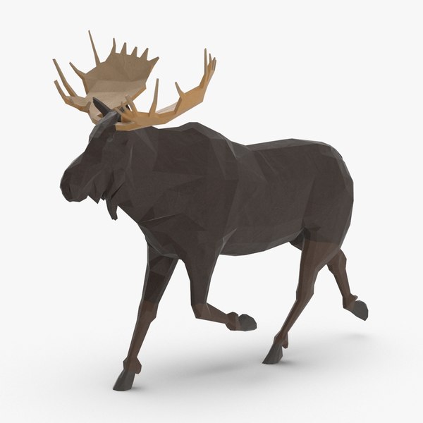 3D Moose Models | TurboSquid