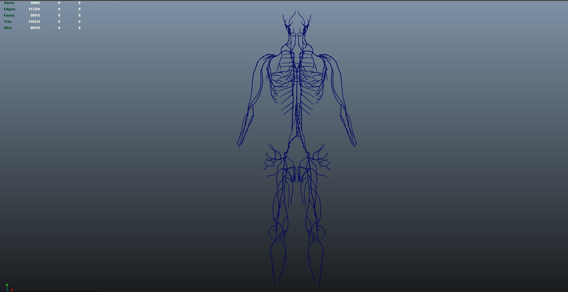 Body arteries veins 3D model - TurboSquid 1216981