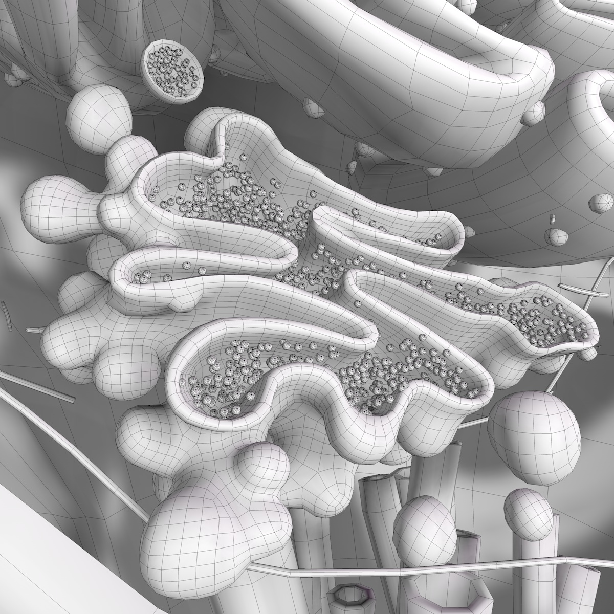 3D neuron receptors cells - TurboSquid 1217211