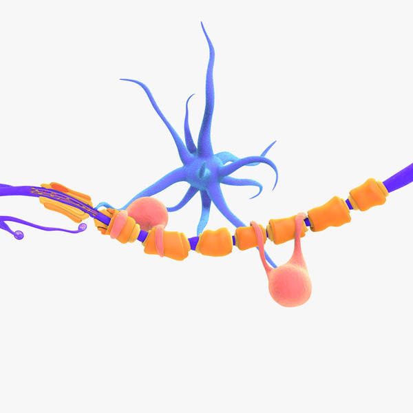 3D neuron receptors cells - TurboSquid 1217211