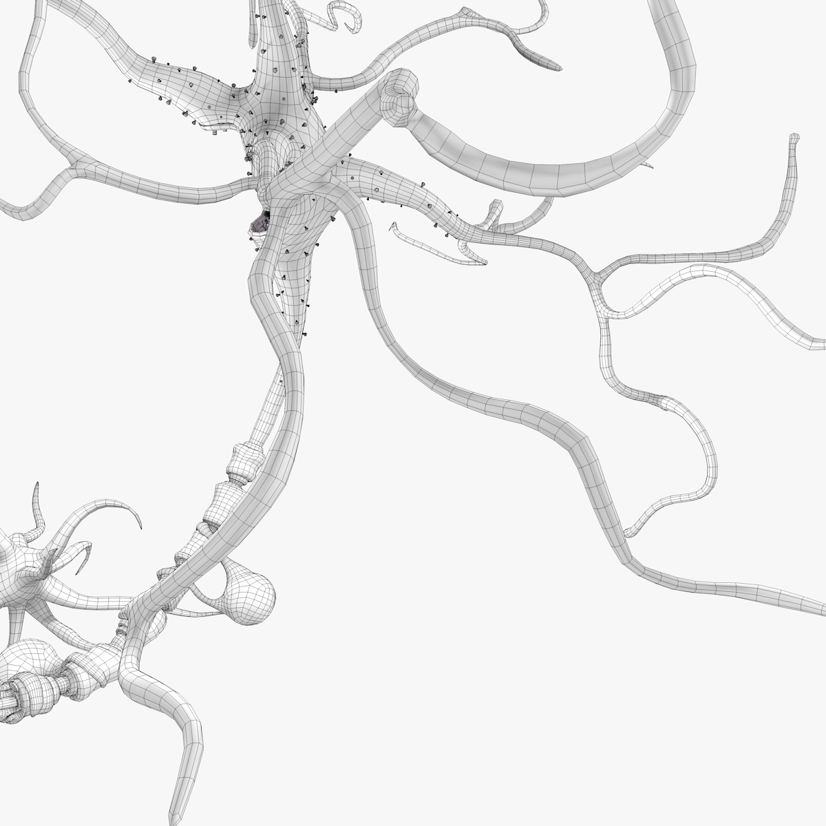 3D neuron receptors cells - TurboSquid 1217211