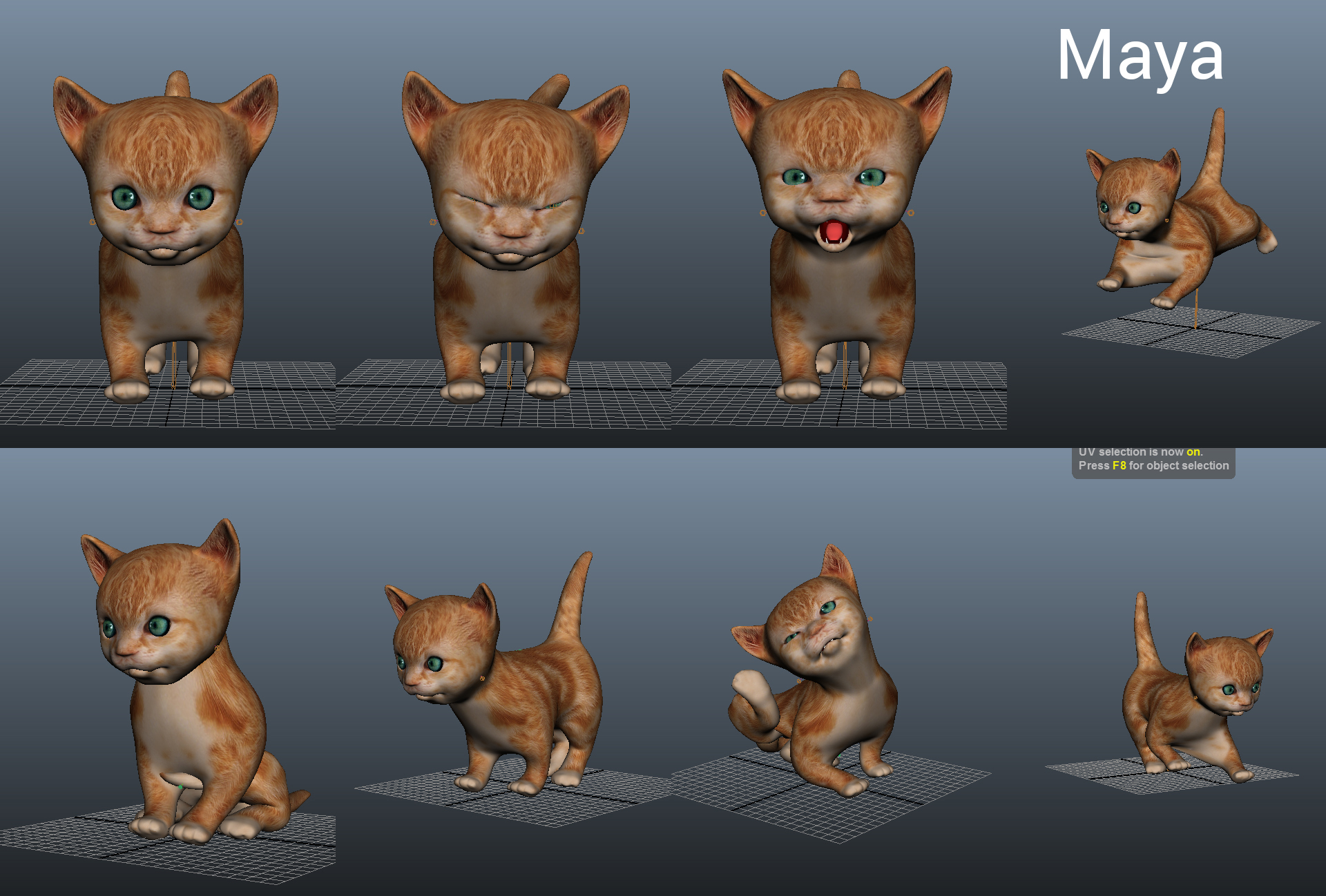 Cute cat animation 3D model - TurboSquid 1217230