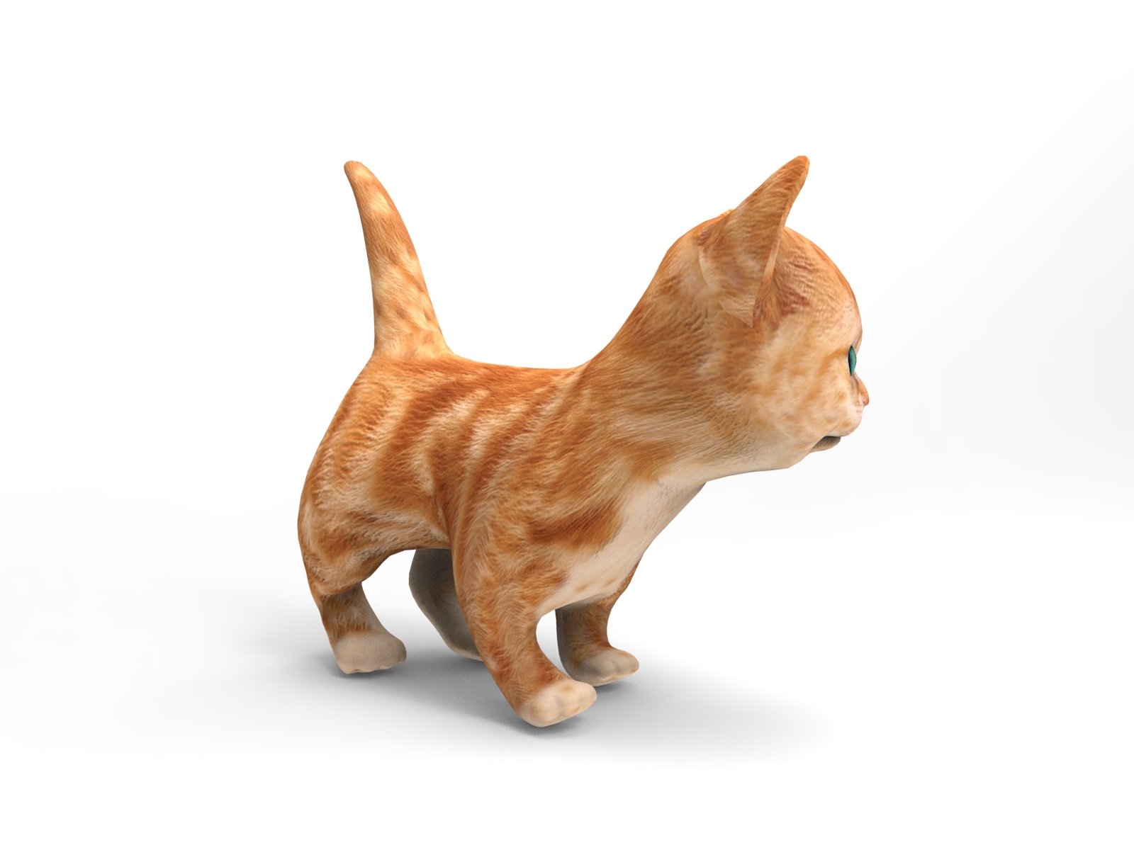 süße Katze animiert 3D-Modell - TurboSquid 1217230