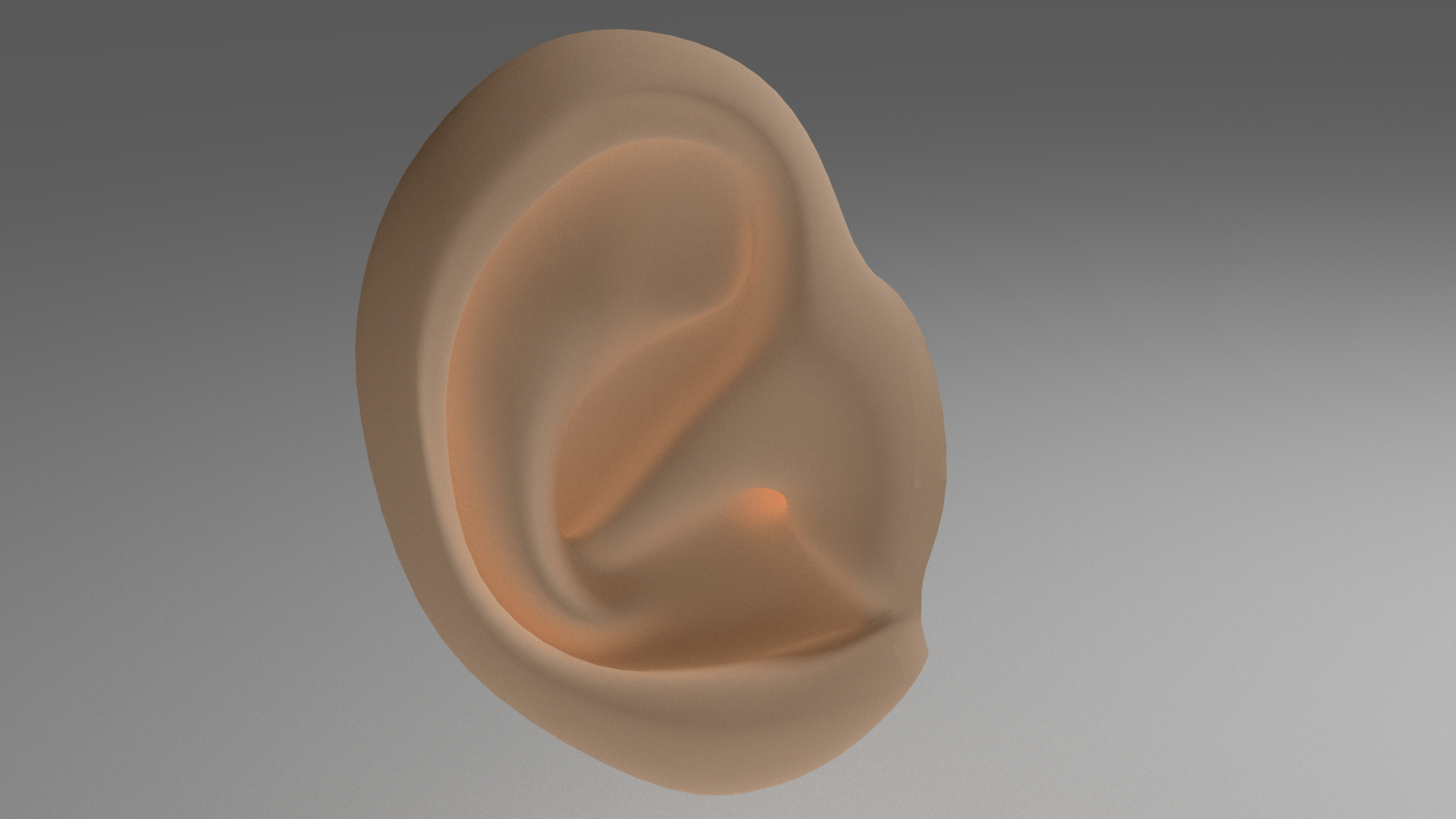 3D ear template - TurboSquid 1217488
